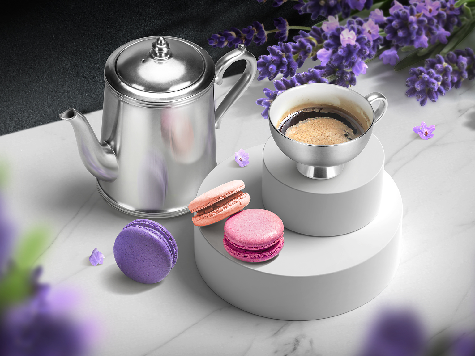 suns Official Website